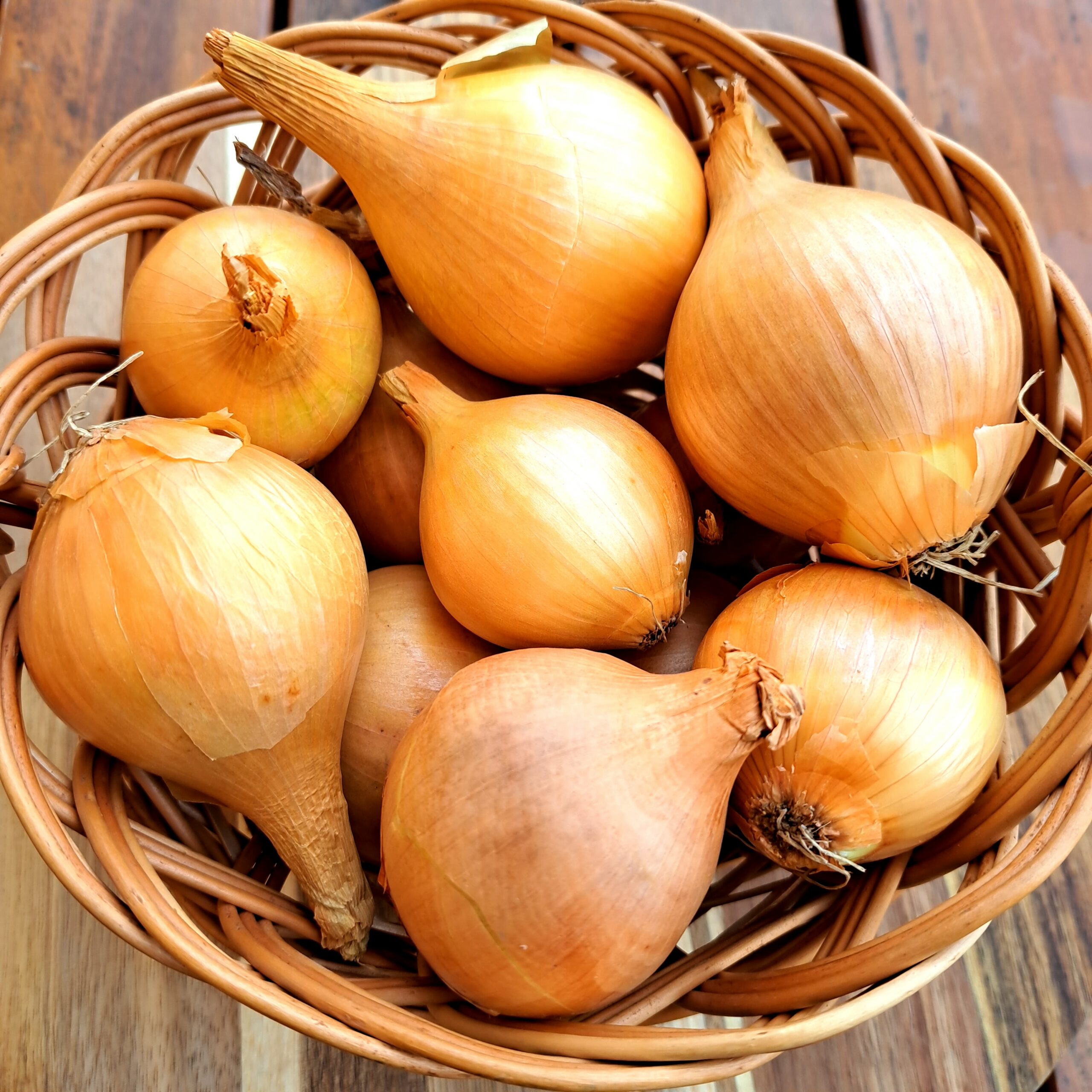 Cebula czerwona – Produkty z Farmy